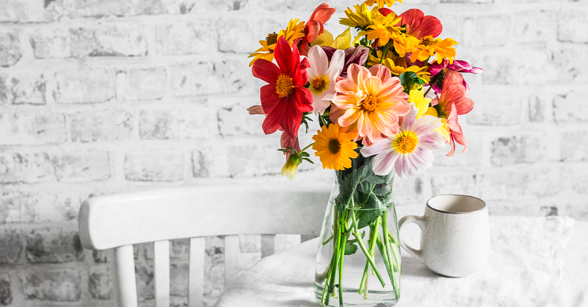 Photography 101: Color Theory in Photography | Motif Blog